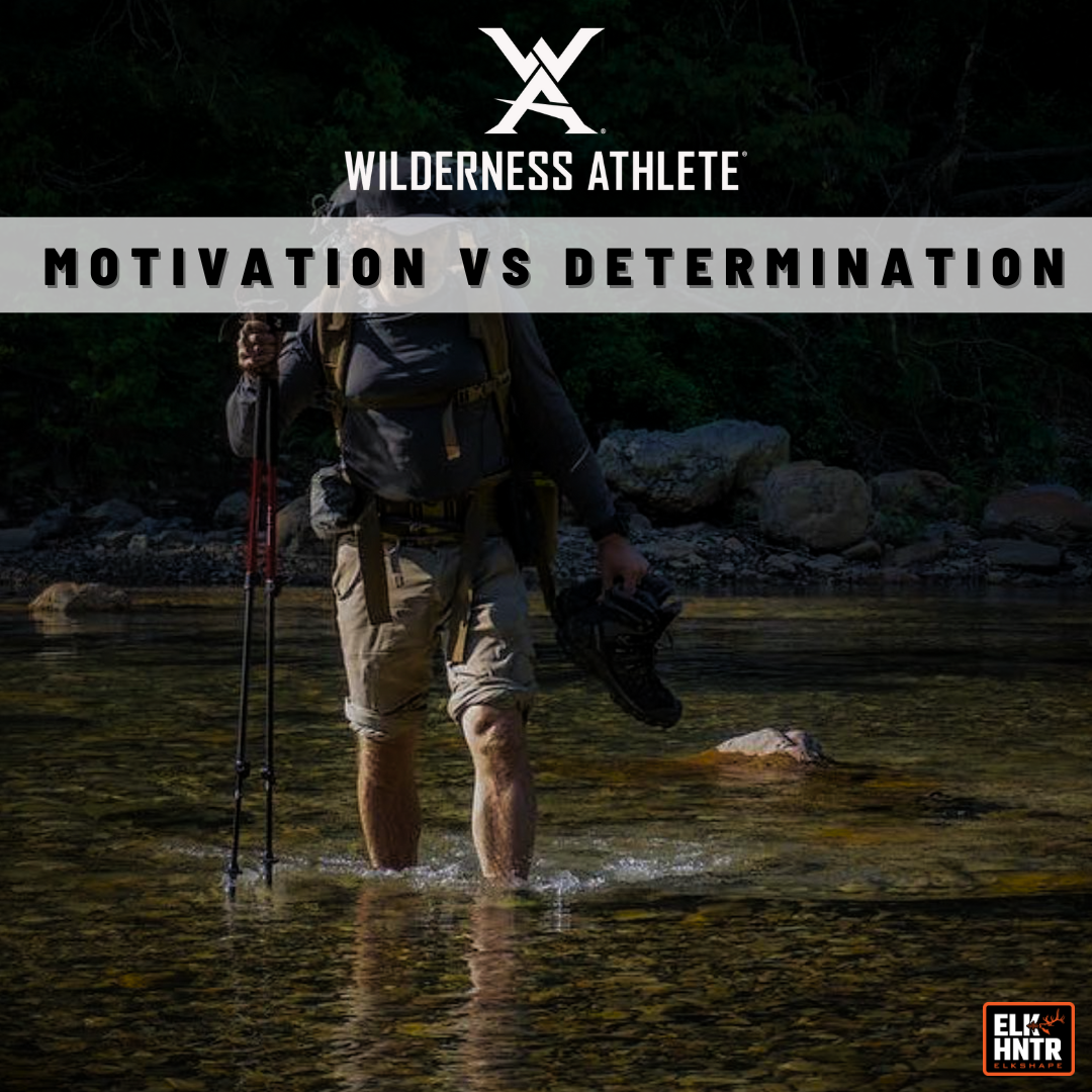Motivation VS Determination – ElkShape