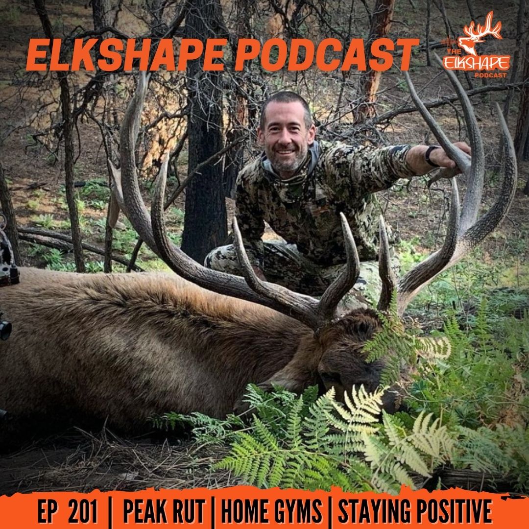 Peak Elk Rut | Home Gyms | Maximizing Opportunities – ElkShape
