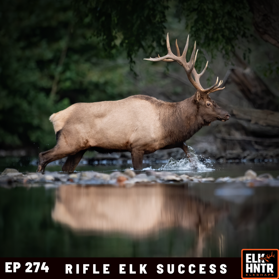 Rifle Elk Hunting Success with Complication – ElkShape