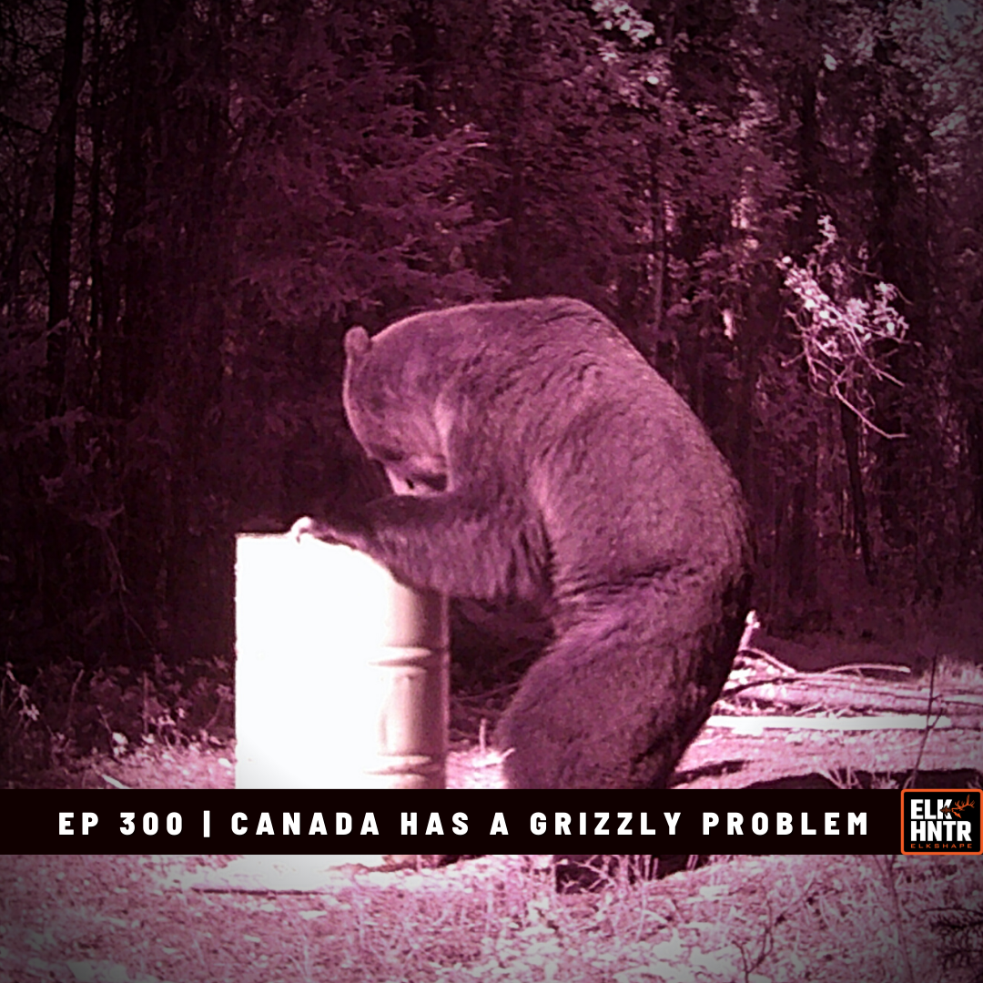 300th Episode! Canada Has a GRIZZLY Problem... – ElkShape