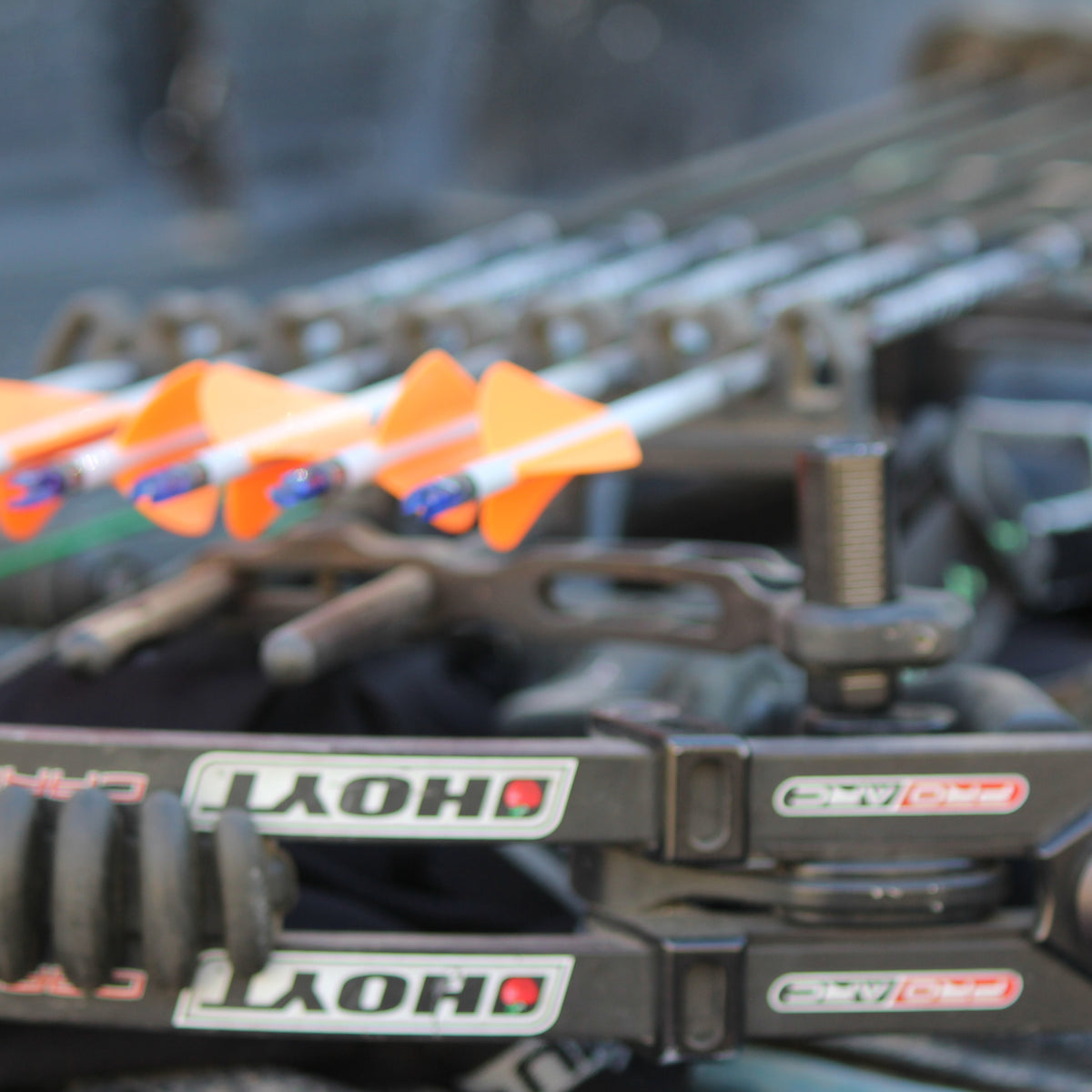 Thursday Grind Session – ElkShape