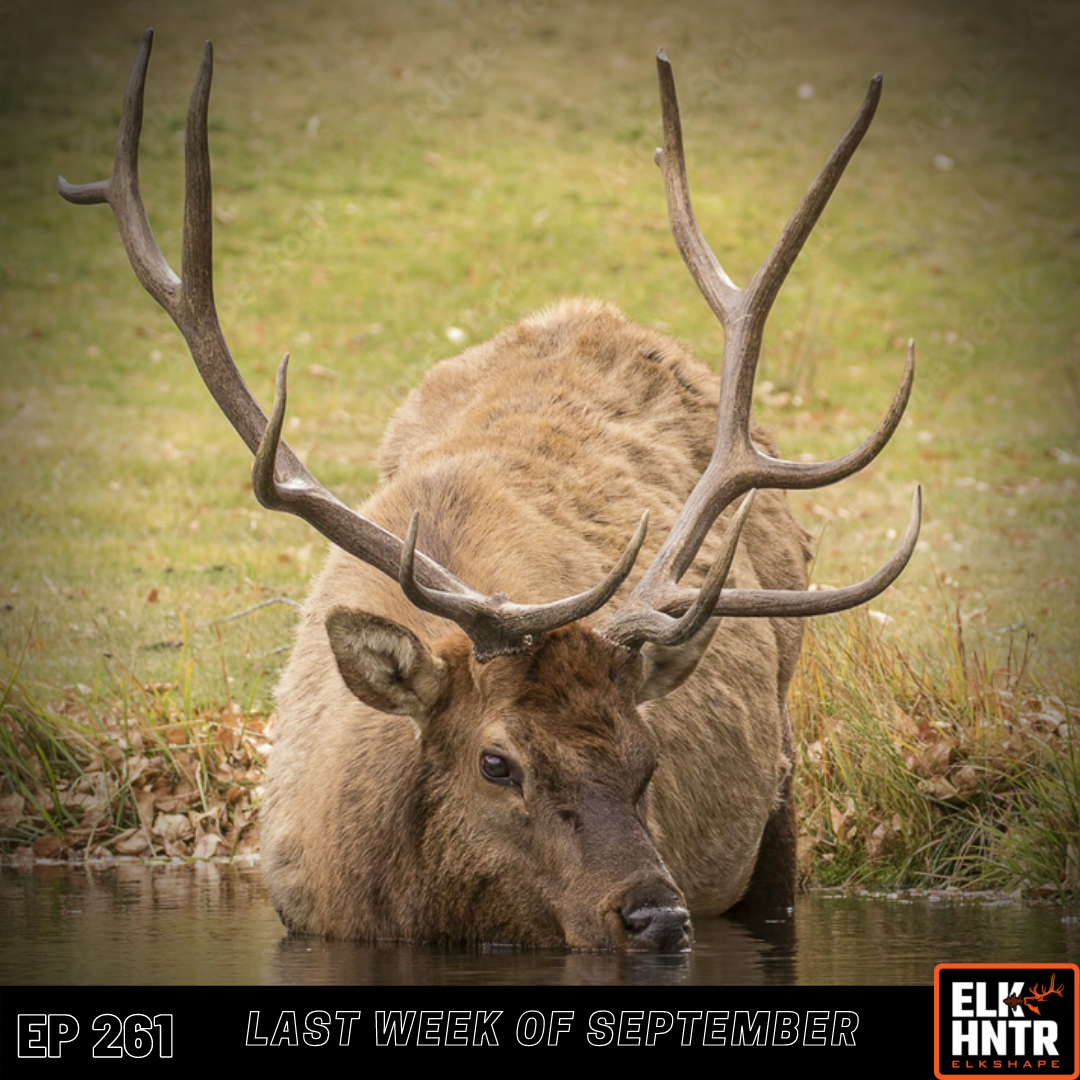 The LAST week of September – ElkShape