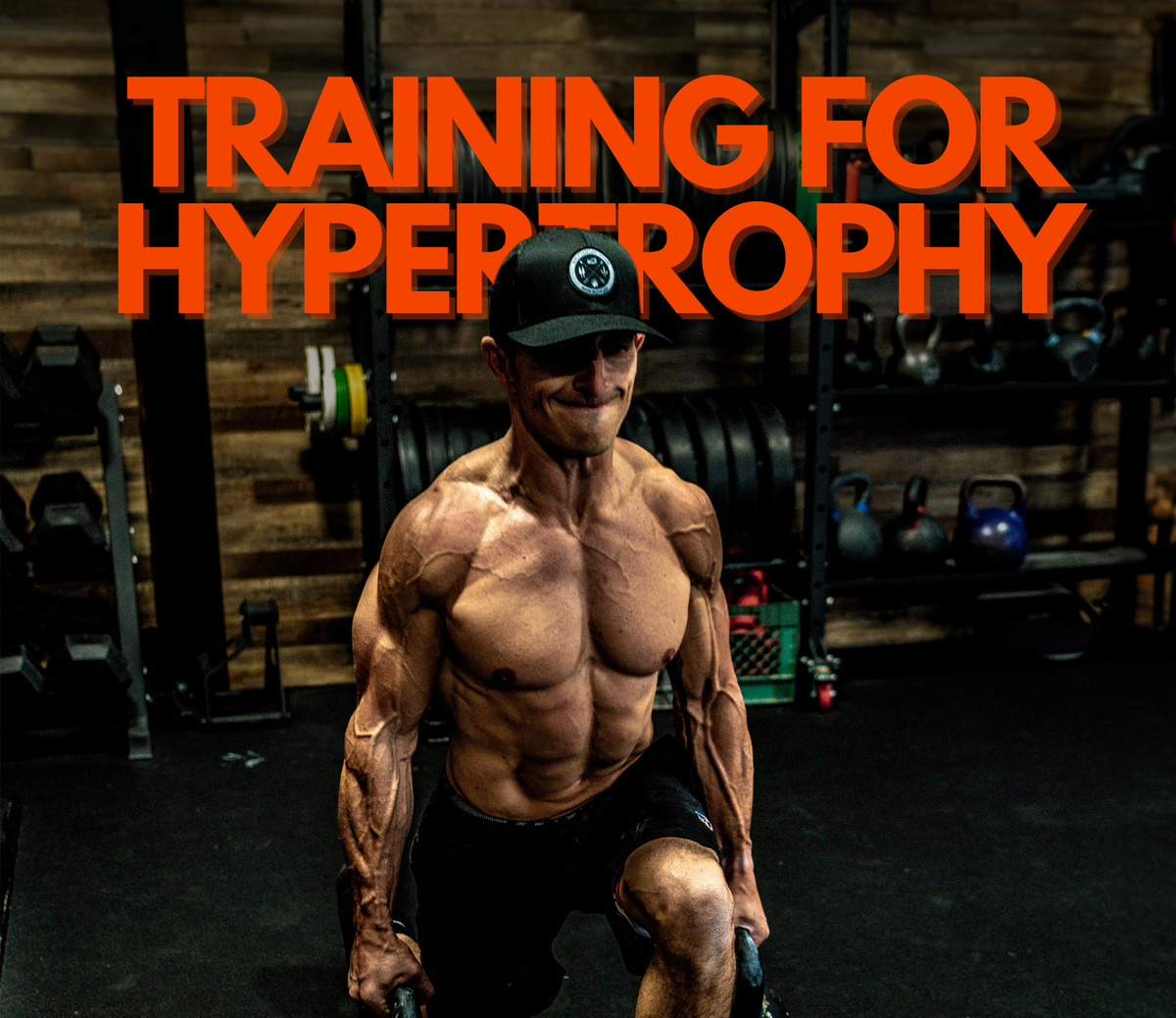 Best Workout Split for Hypertrophy – ElkShape