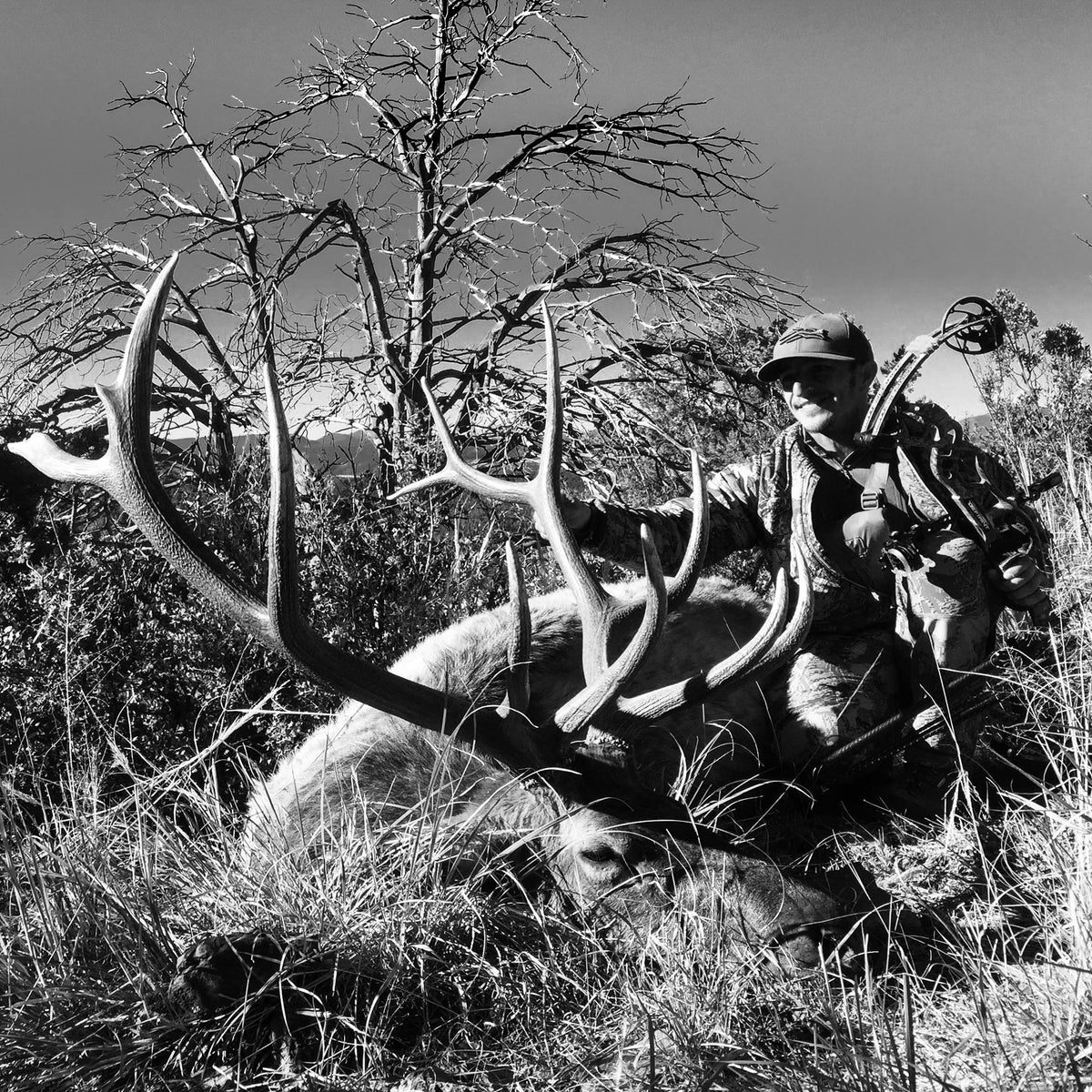 Late Season Archery Elk – ElkShape
