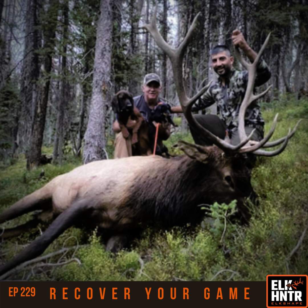 Last Ditch Effort - RECOVER your Elk!!! – ElkShape