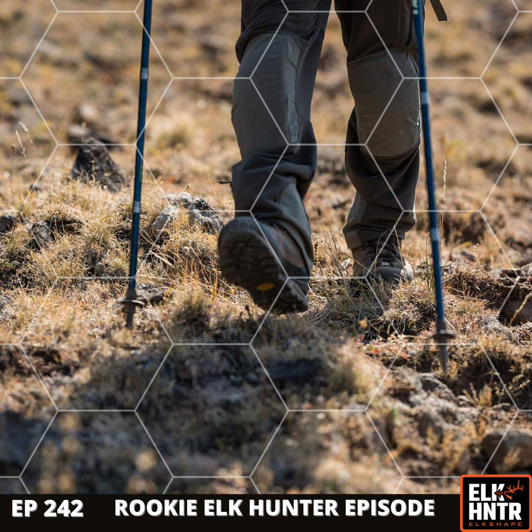 1 ROOKIE, 2 STATES, elk hunting TACTICS 101 – ElkShape
