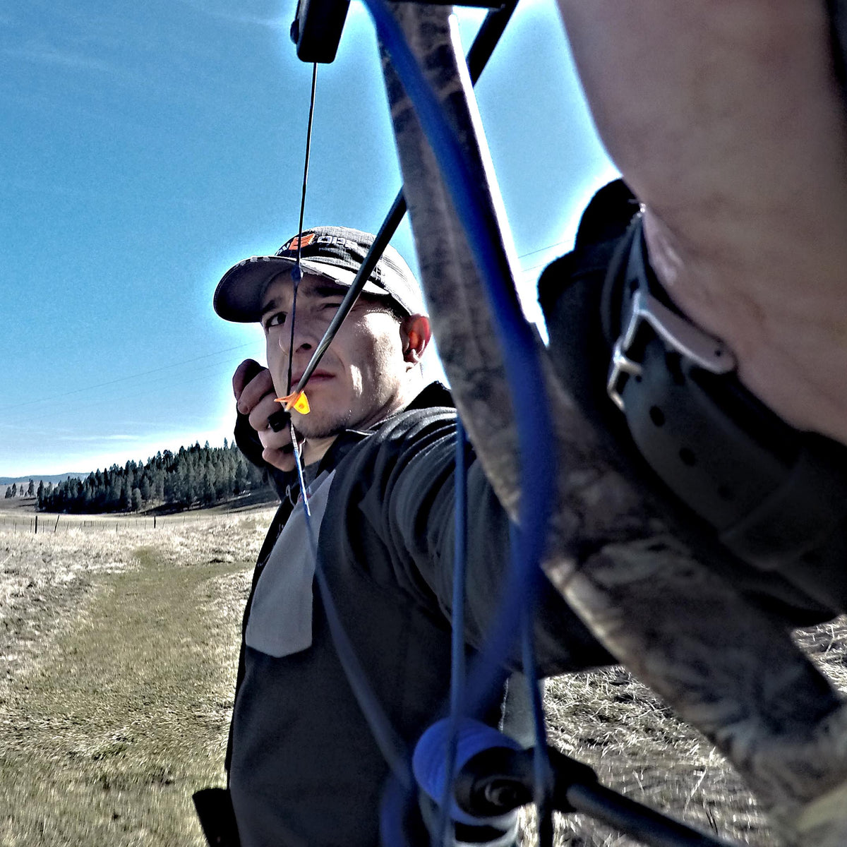 Catch Up Training Journal – ElkShape