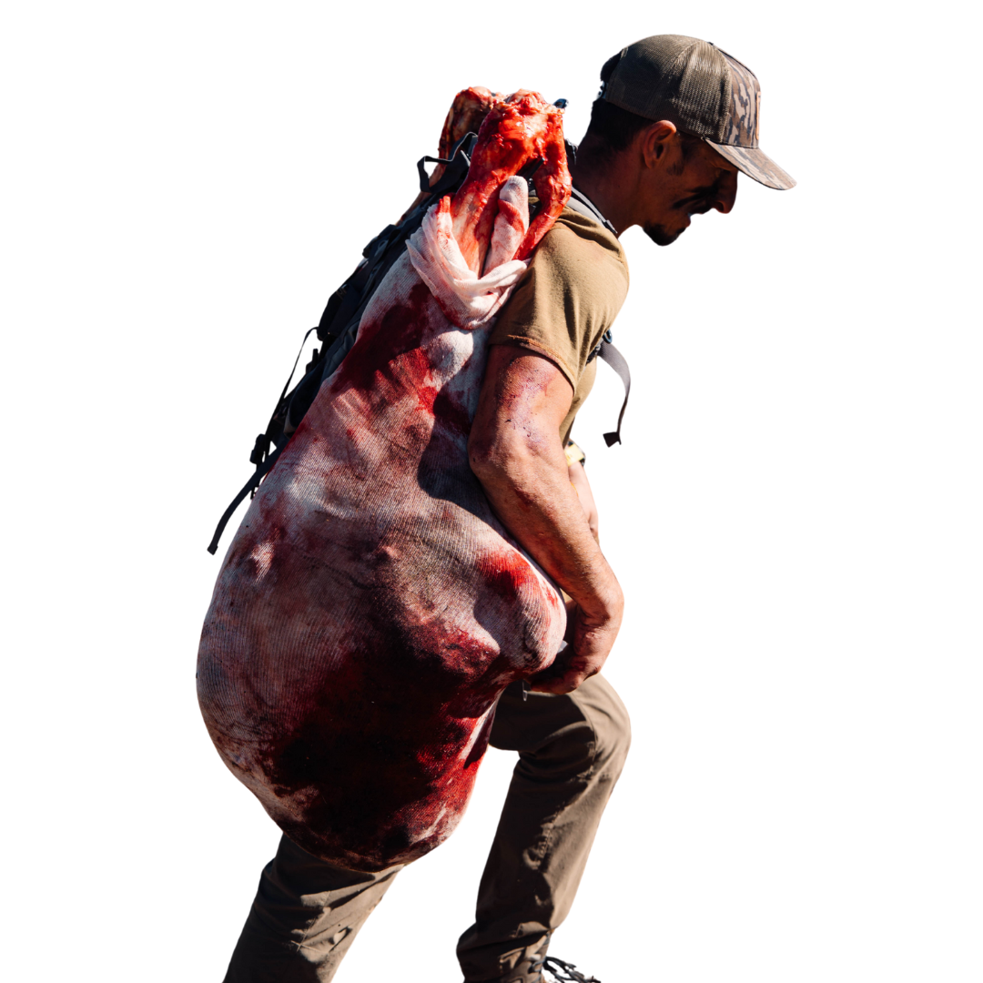 Initial Ascent – ElkShape