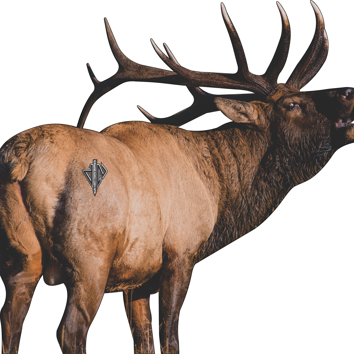 2D Bull Elk Quartering Away Target – ElkShape