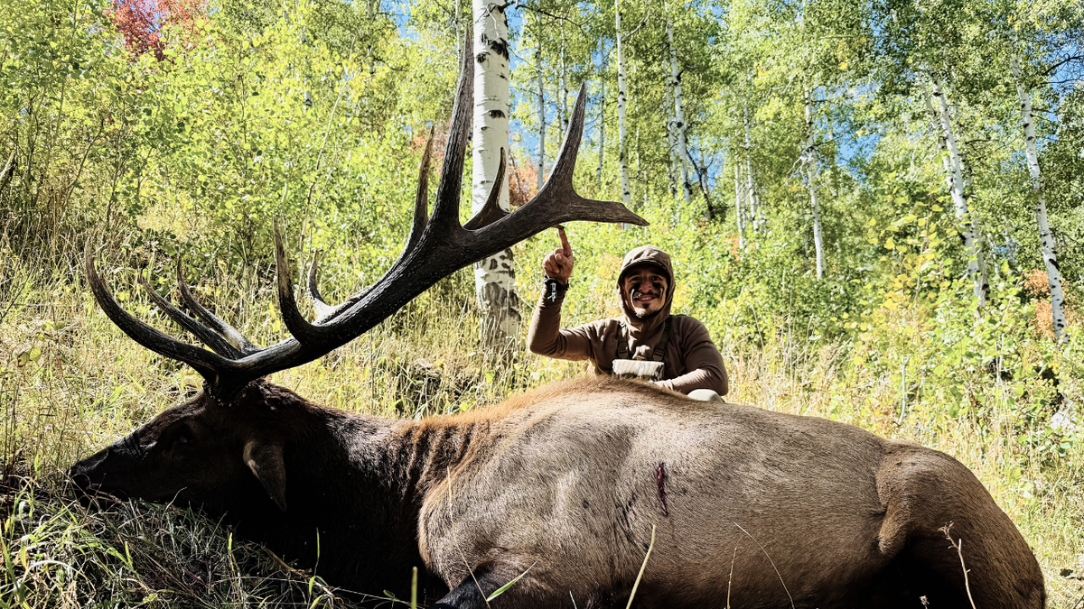 Get in Shape and Improve Your Fitness for Elk Hunting - ElkShape