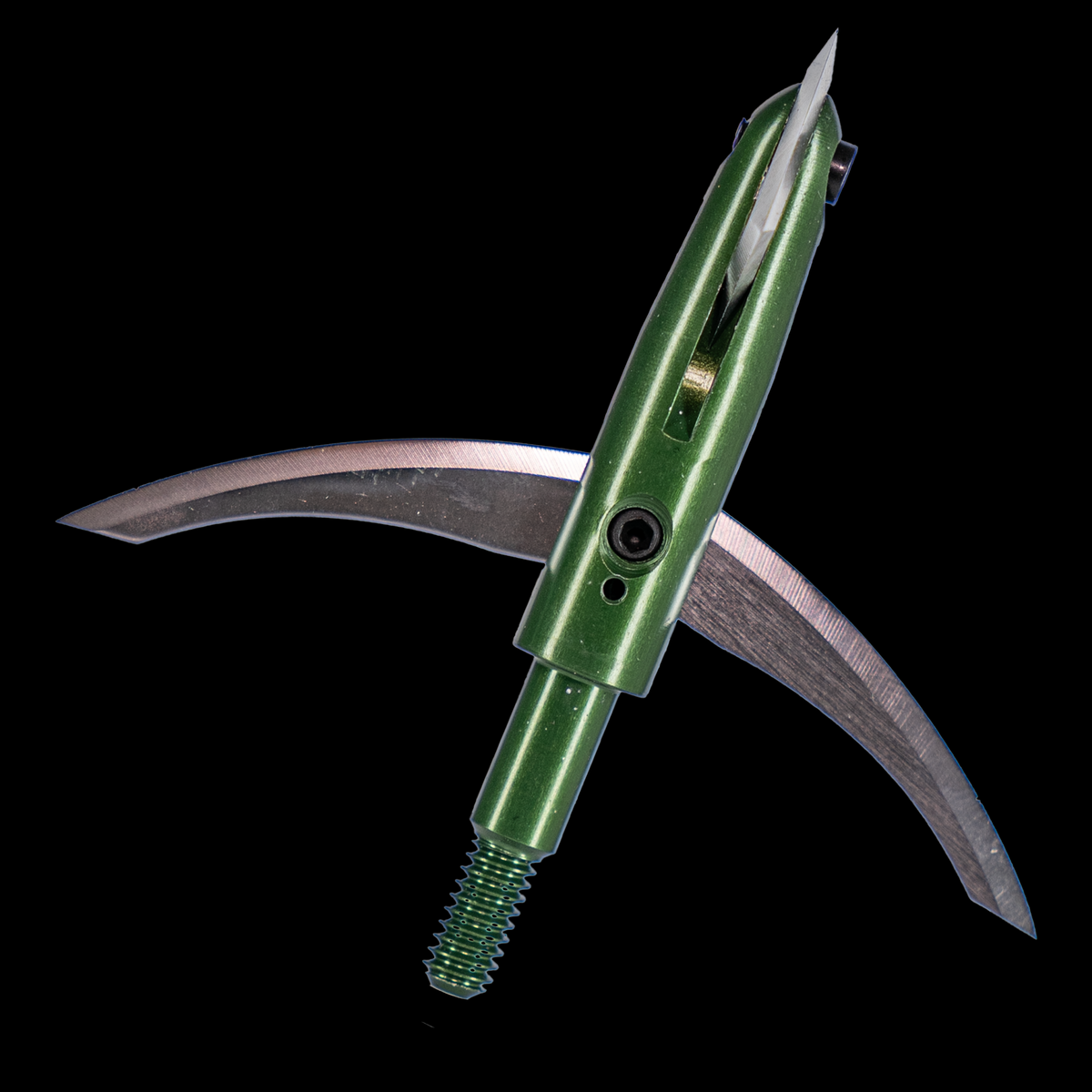 WHITETAIL FURY – ElkShape