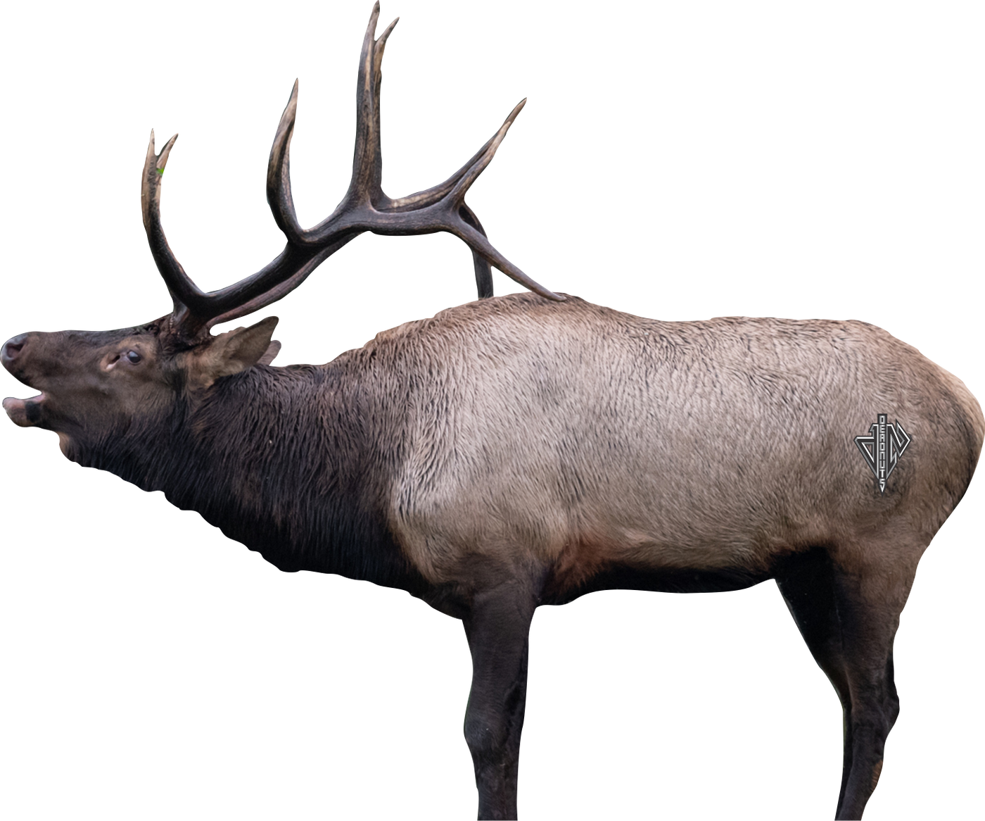 Products – ElkShape