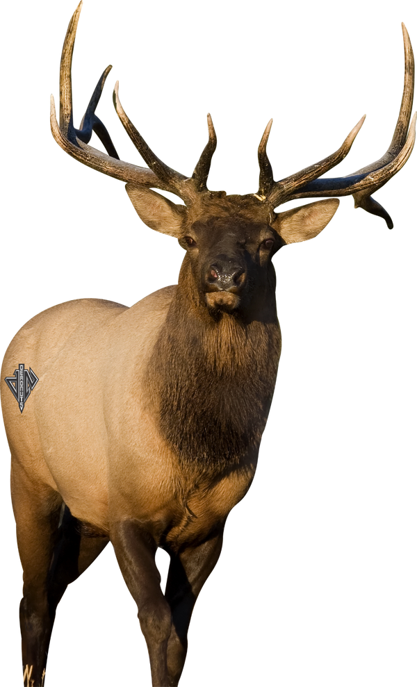 Products – ElkShape