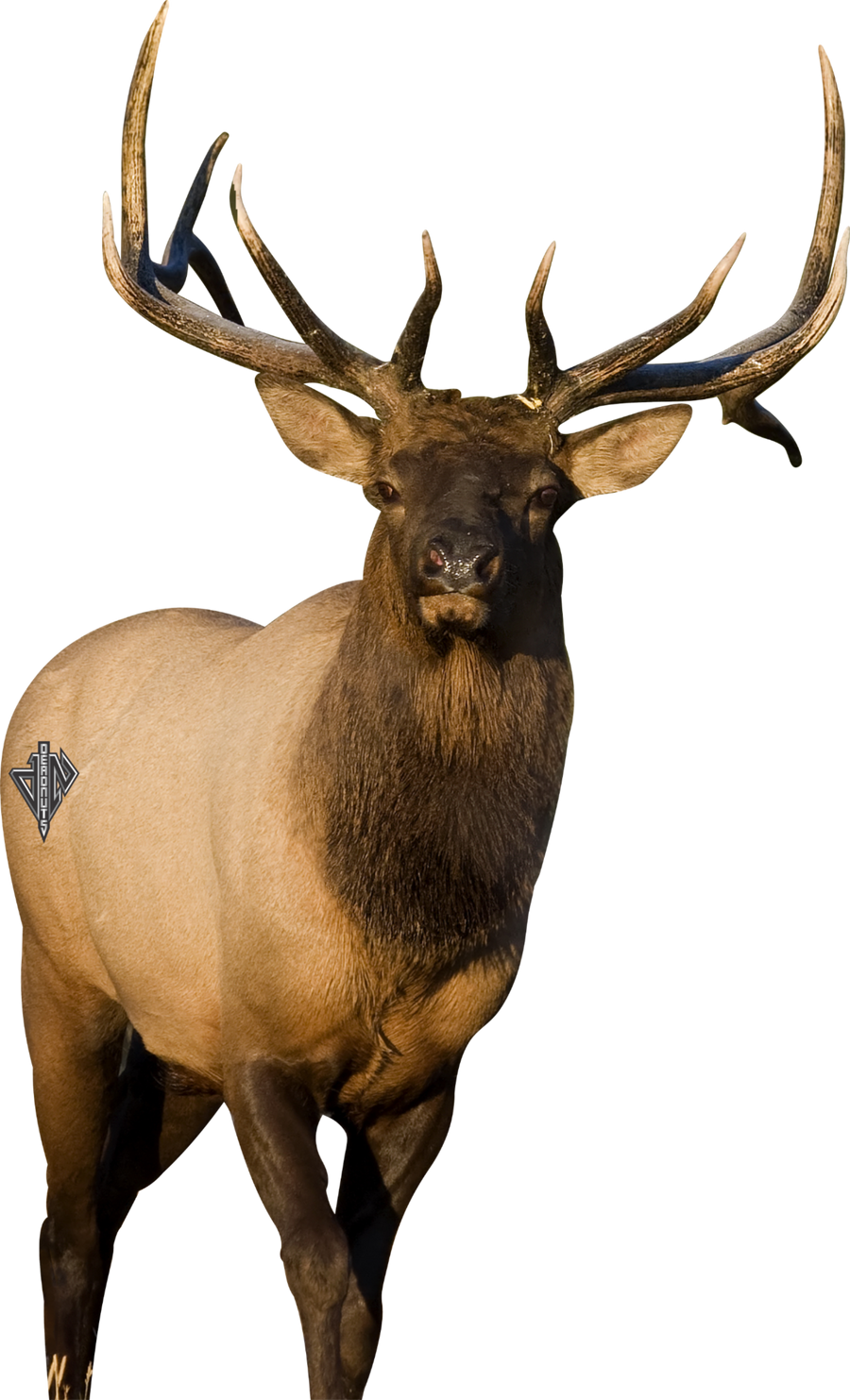 Products – ElkShape
